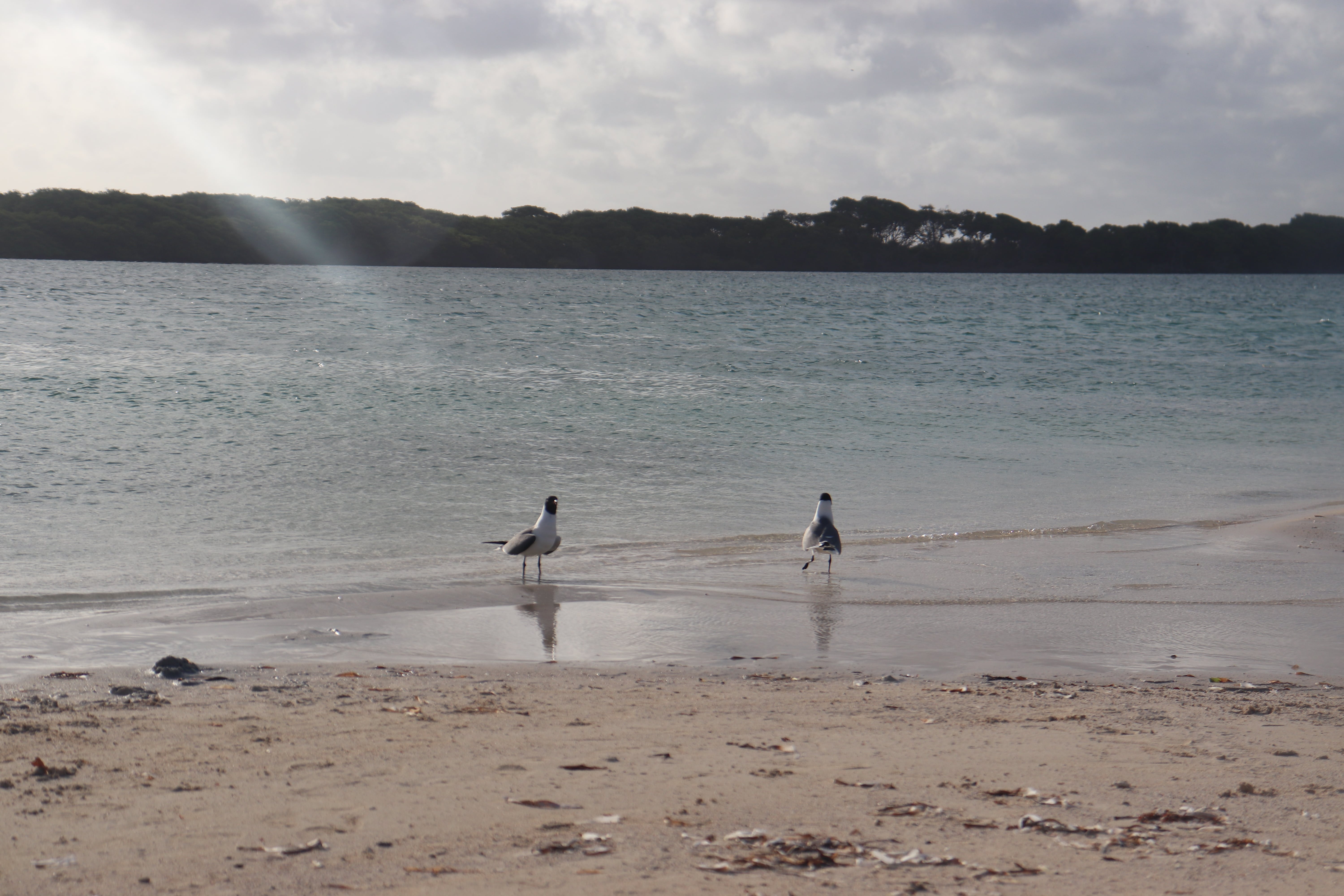 Boneiru, ta ún so tin | Extra Bonaire
