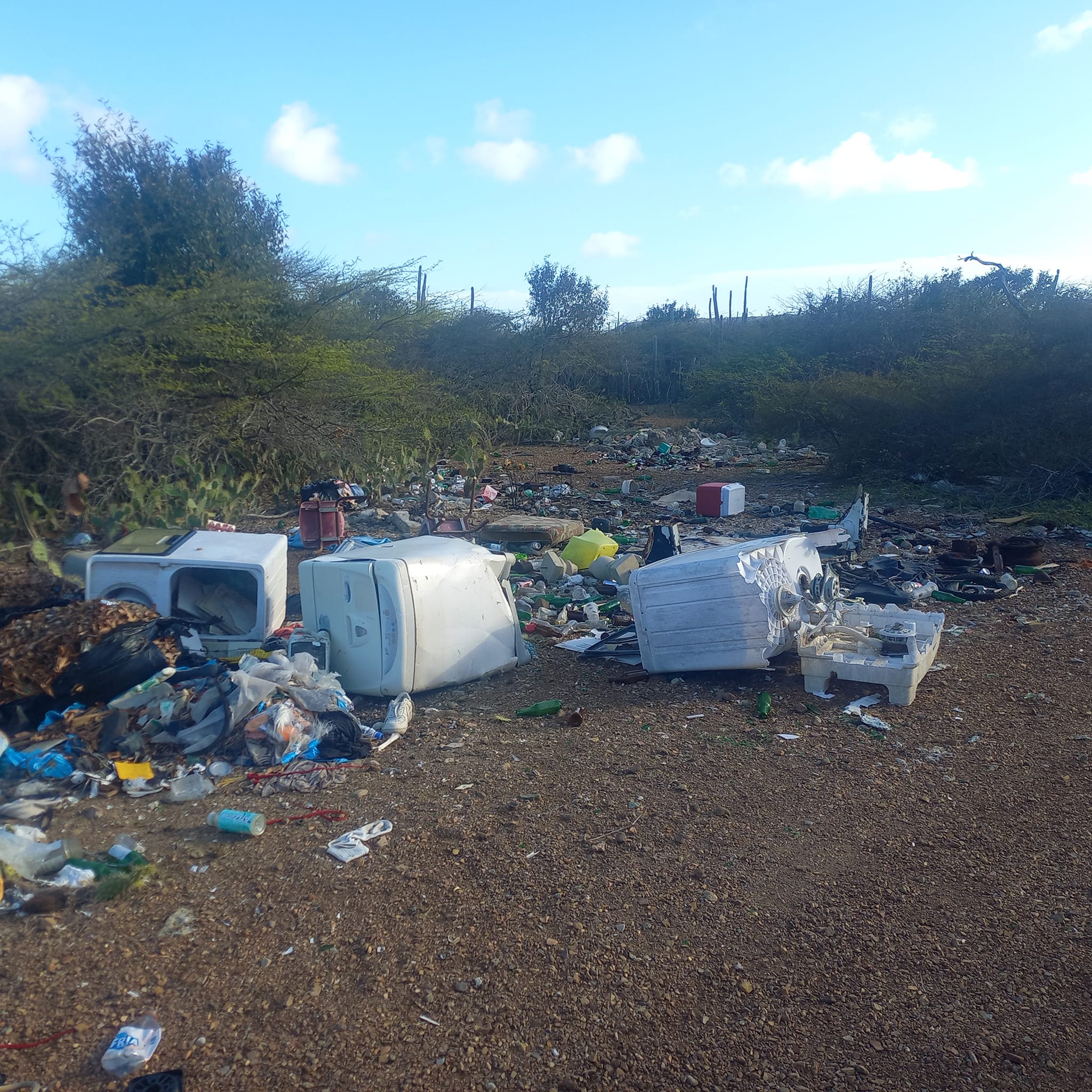 Mini Landfill den Rincon | Extra Bonaire
