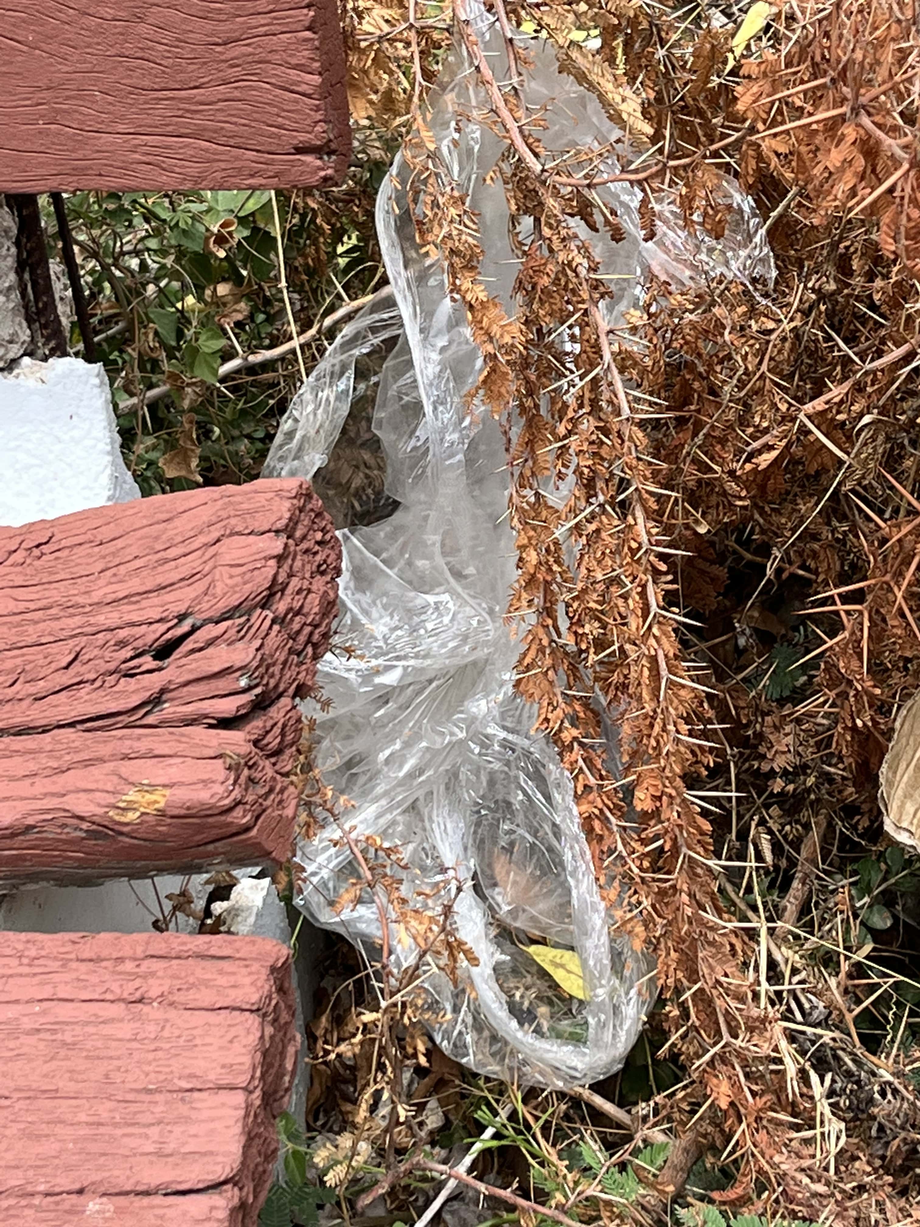 Loke ta stimulá sushamentu di e sitio Dospos sin kònteiner di sushi ...