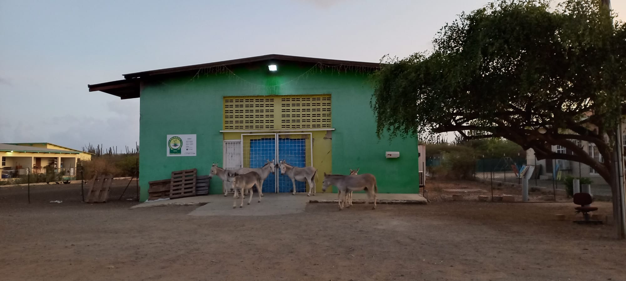 Buriku na Kriabon | Extra Bonaire