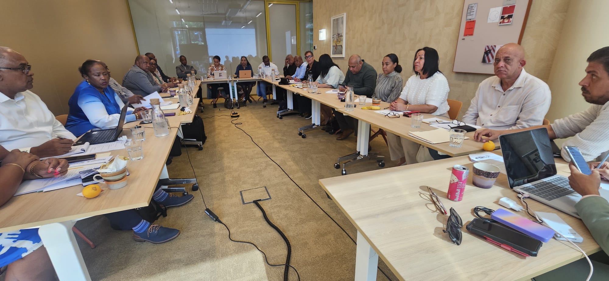 Durante BES Summit na Hulanda Reunion produktivo ku logro pa e islanan ...